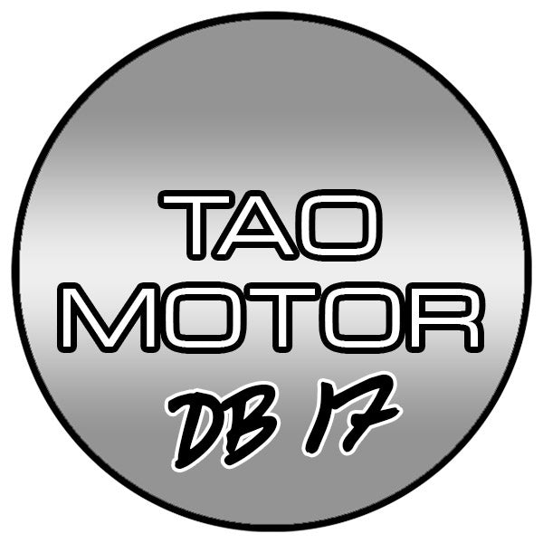 Tao Tao DB17 Dirt Bike Parts – Page 2 – VMC Chinese Parts