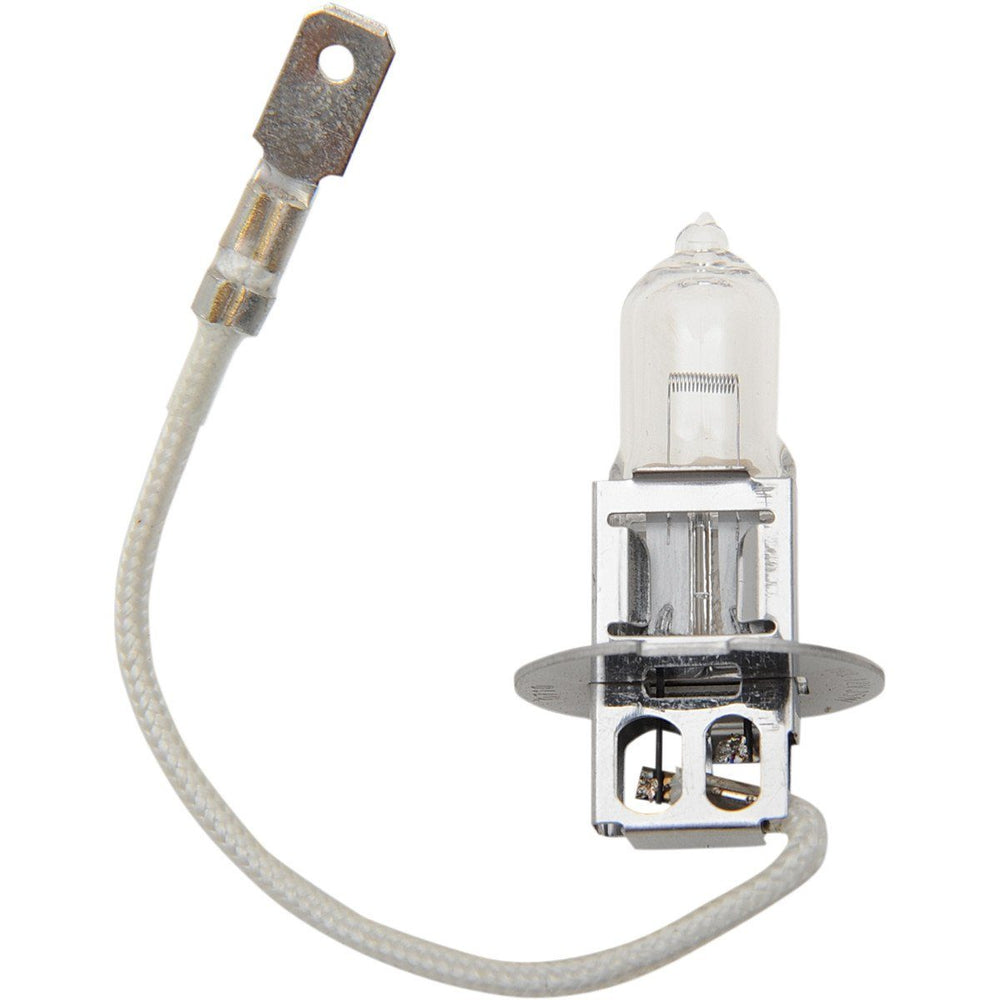Bulbs – VMC Chinese Parts
