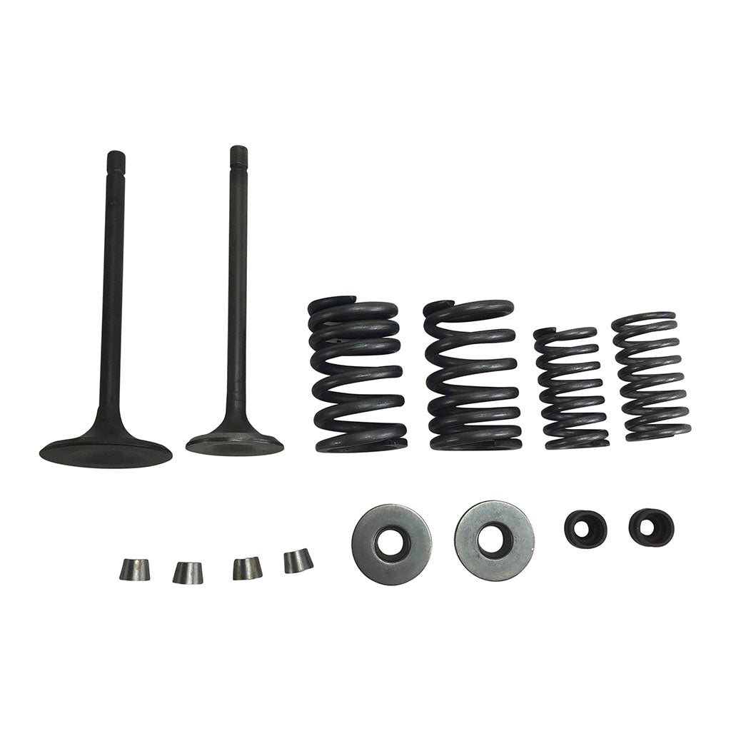 Valve Set With Springs and Clips - CG250 Engines - Version 8