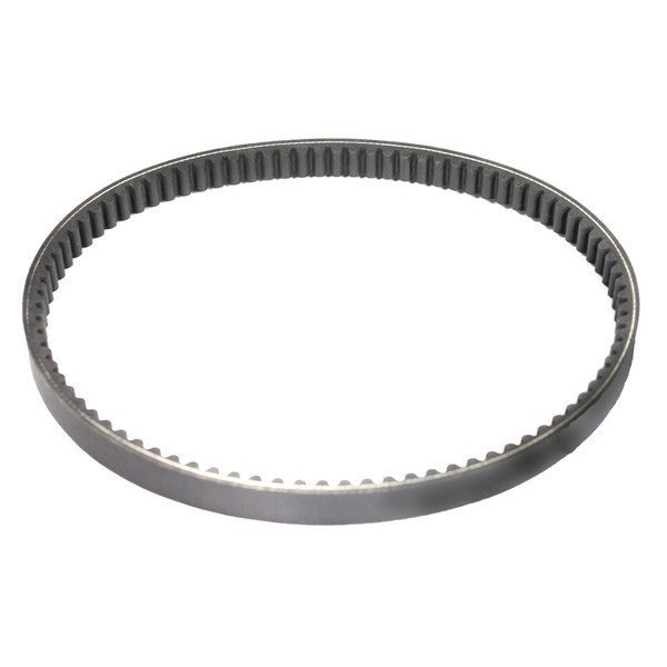 Belt - 24.2mm x 868mm - (868-24.2-30) - Hammerhead 250 GTS SS – VMC ...